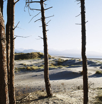 Getdown Services | Britain's Best Band | Tour Dates, Gig Photos & More